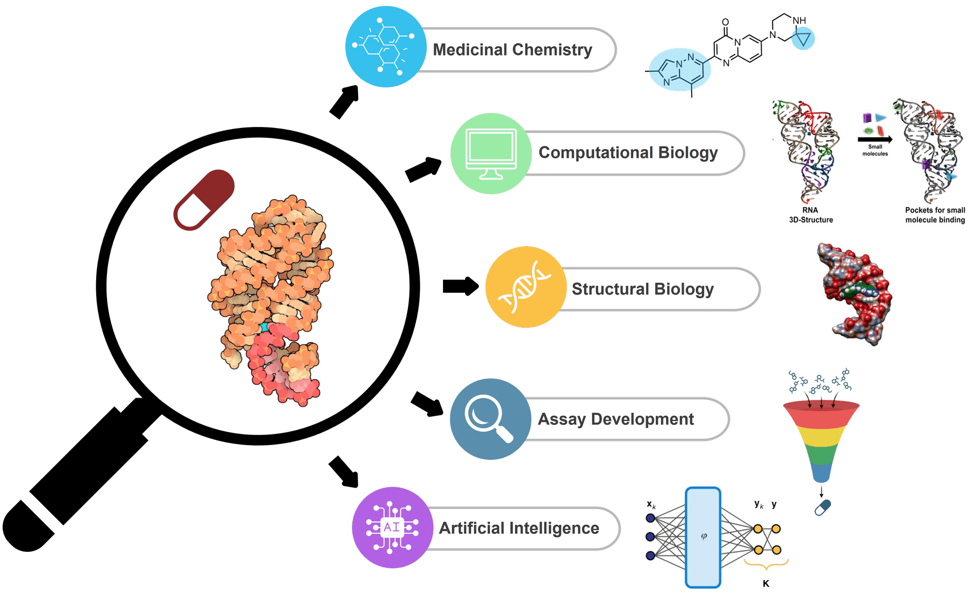 RNA-targeting drug discovery through innovation | InFocus Therapeutics